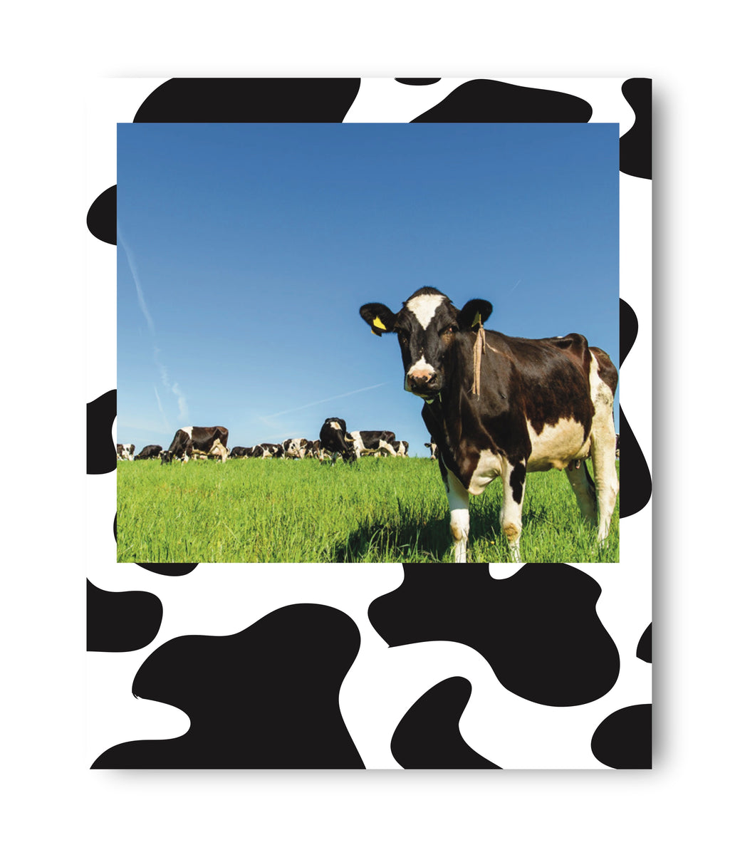 Oh la vache ! – FPM magnet