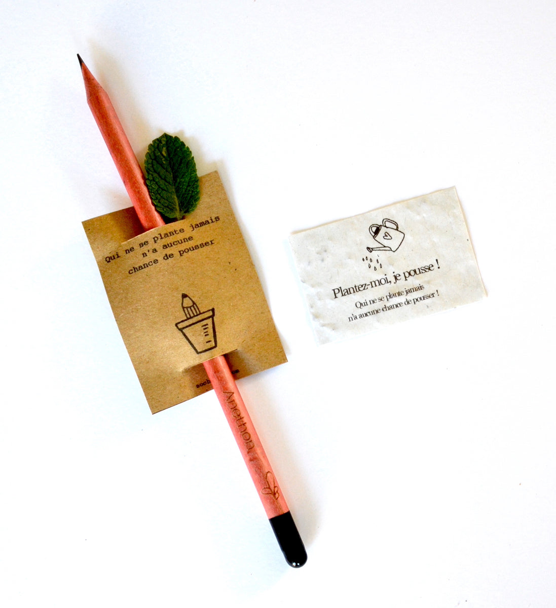 Crayon à planter belle idée écologique – FPM magnet
